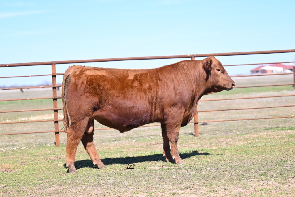 Anthony Ranches | Luke Mobley Col.